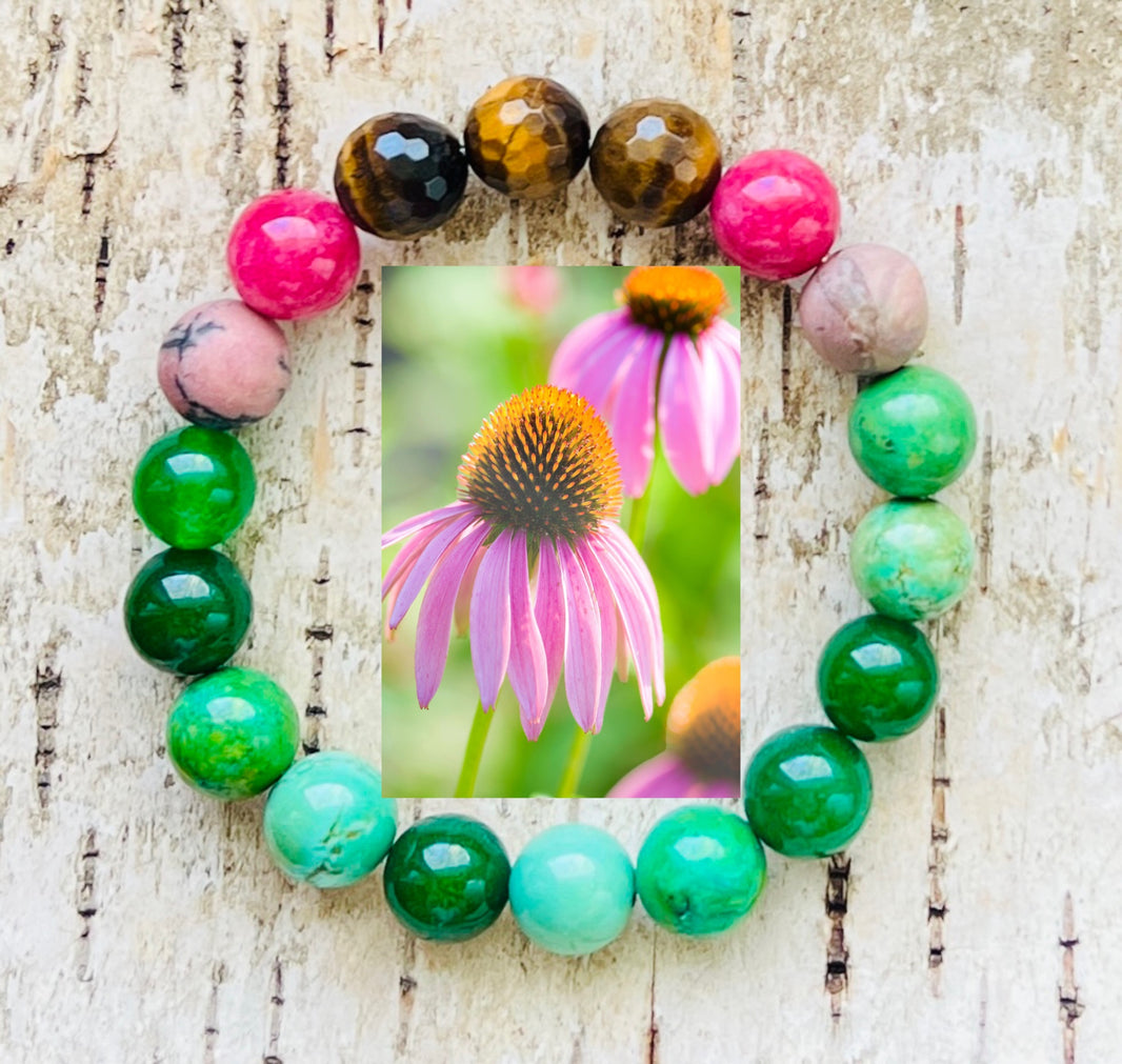 On Sale! – Embrace Our Souls