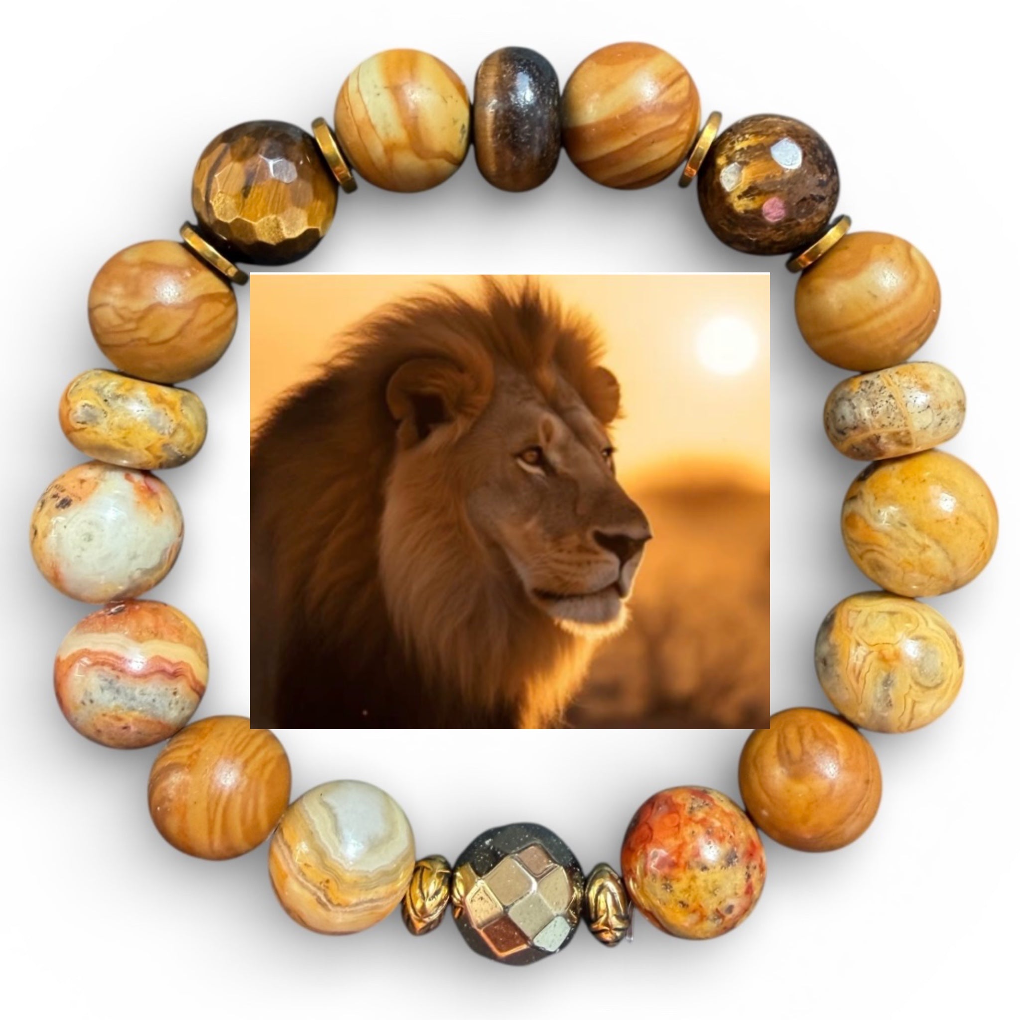 Lion – Embrace Our Souls