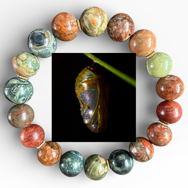 Cocoon – Embrace Our Souls