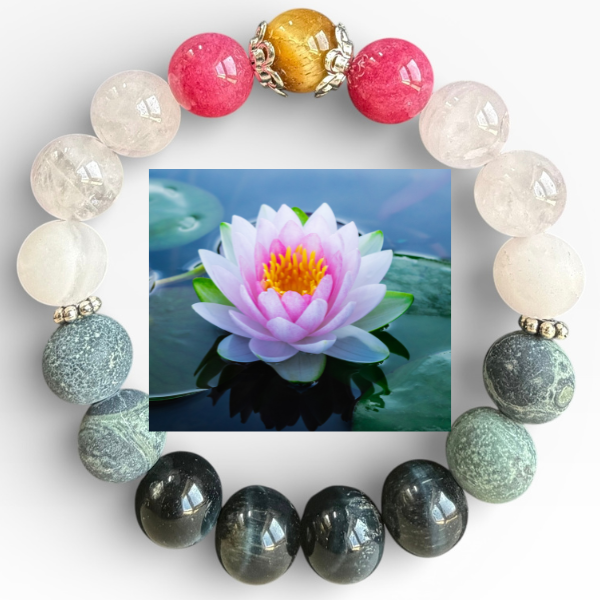 Lotus – Embrace Our Souls